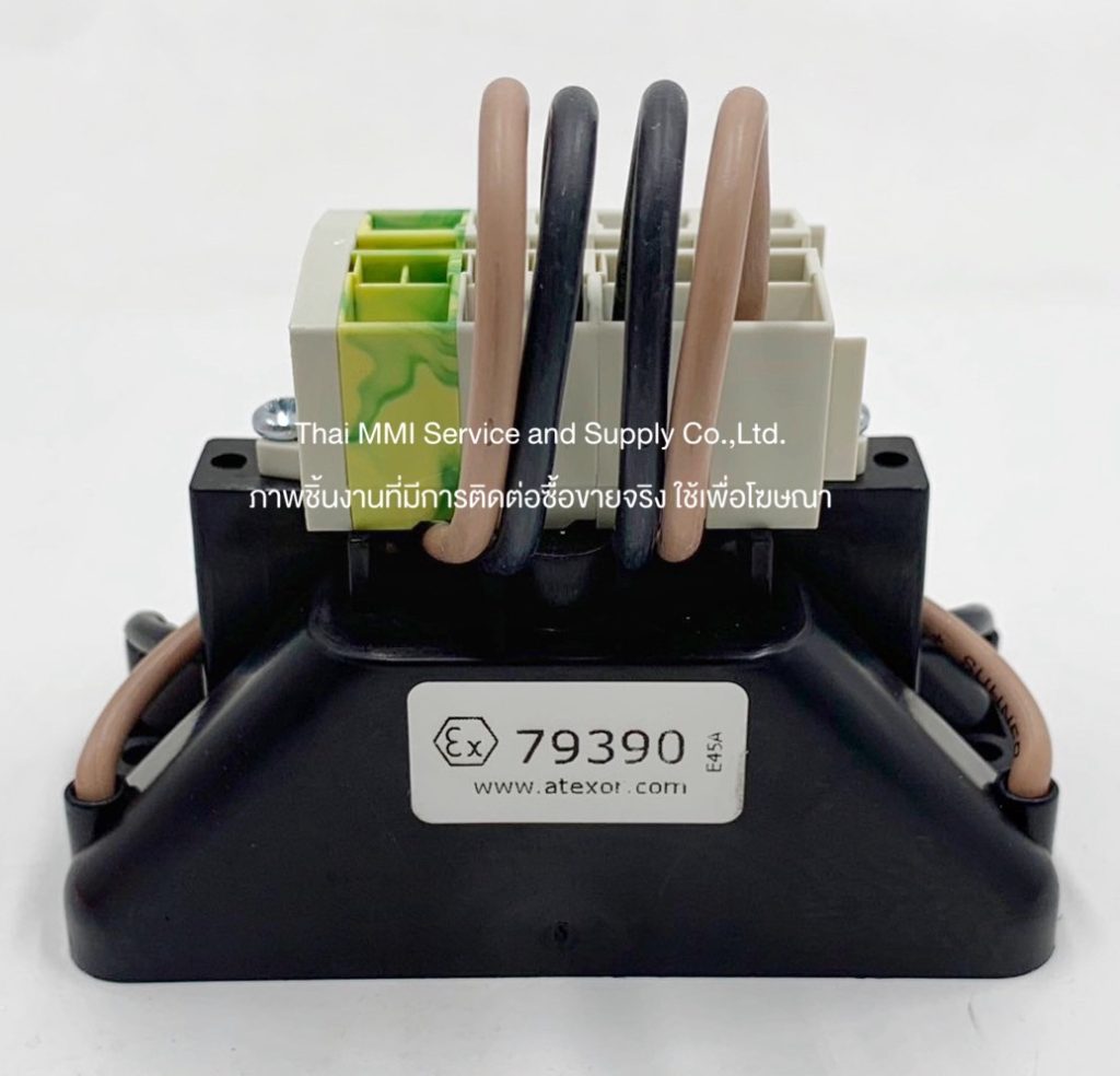 EXPLOSION PROOF Archives - THAIMMI