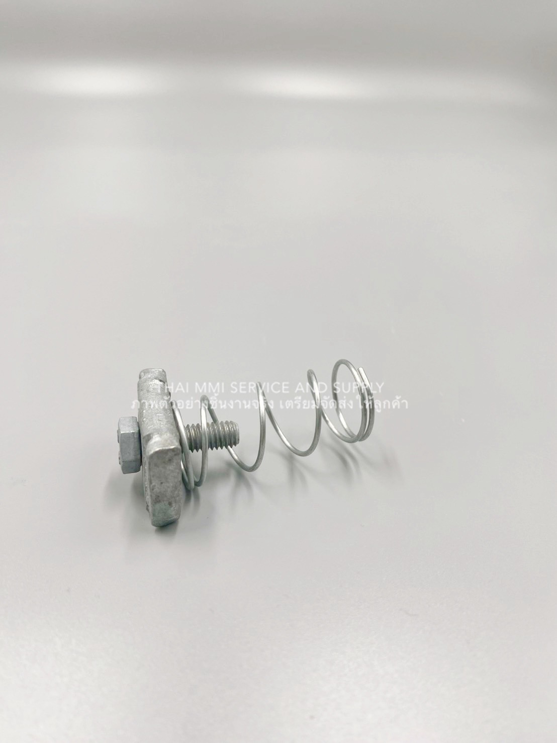 Hex Bolt & Spring Nut
